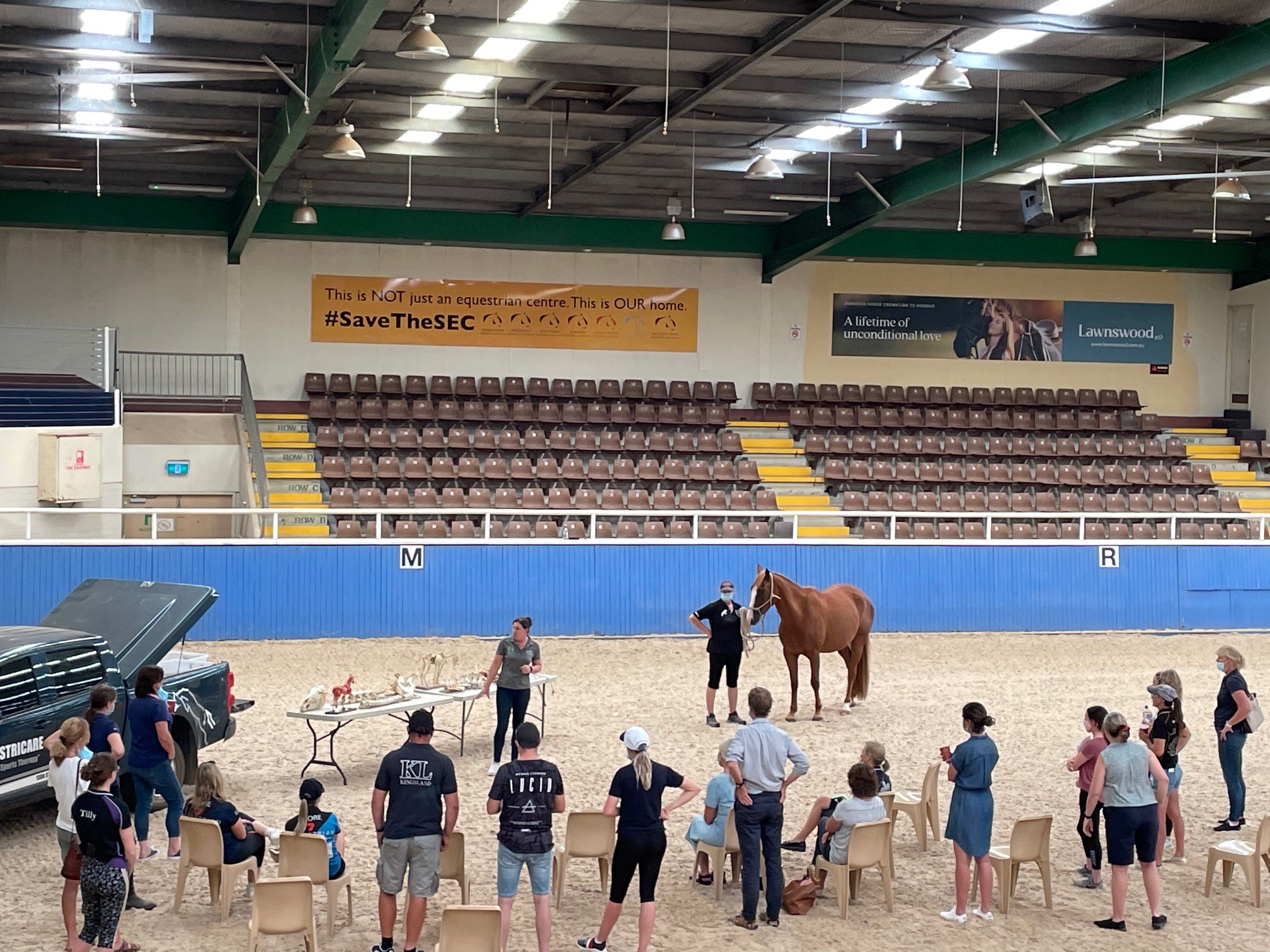 Show Horse - Rules & Documents | Show Horse Western Australia
