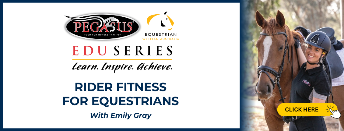 Horse Services | Equestrian Western Australia