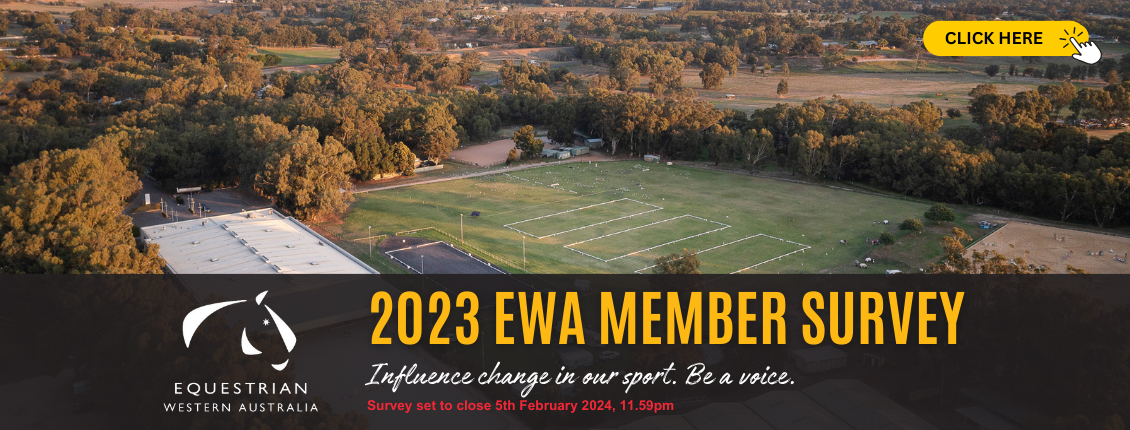 Horse Services | Equestrian Western Australia