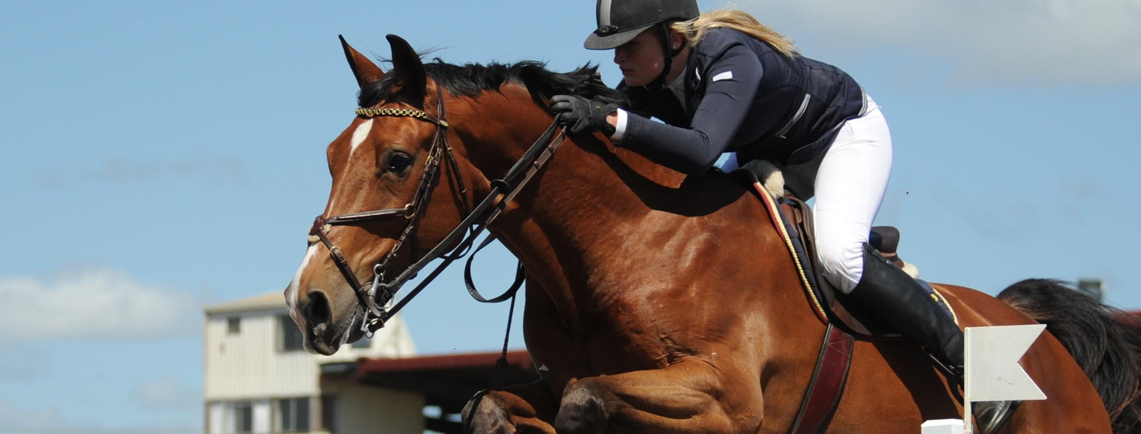 How to become a Member | Equestrian Western Australia